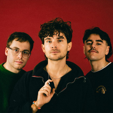 Dutch Criminal Record + support | Komedia Brighton